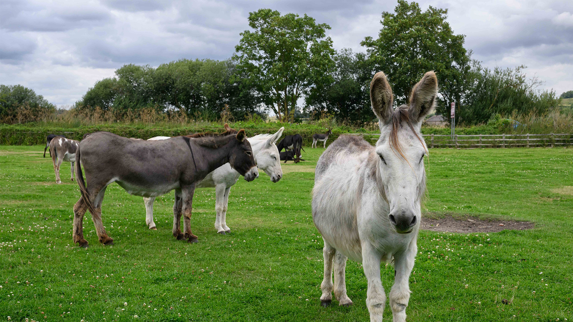 Retirement homes for sale in Didcot - Churchill Living