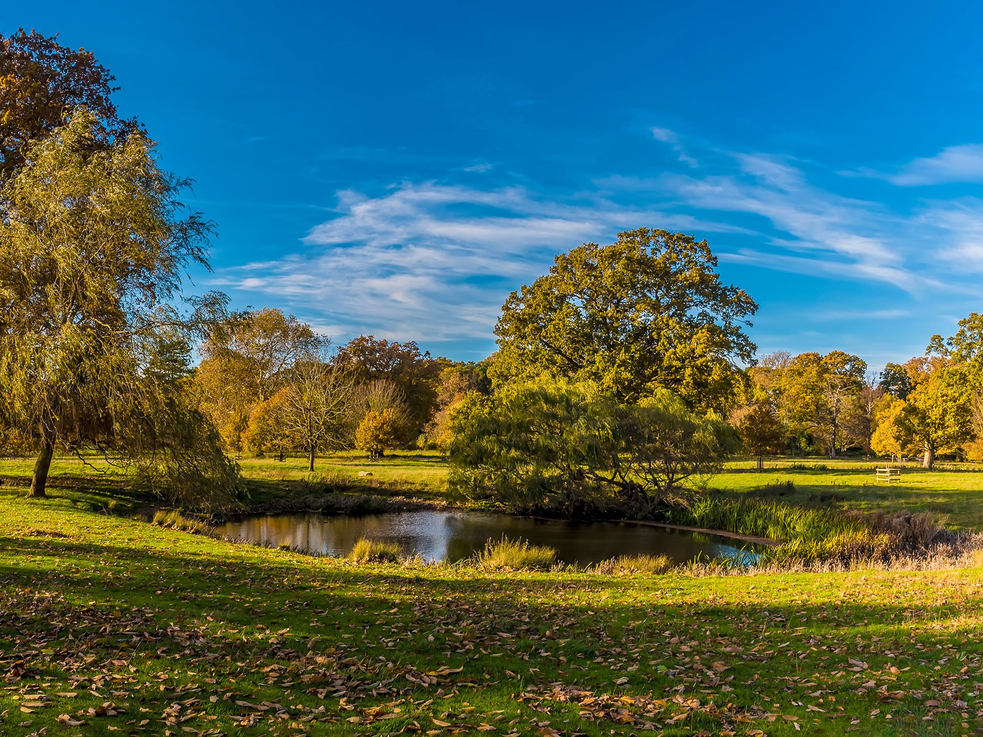 Things to do in Suffolk during retirement